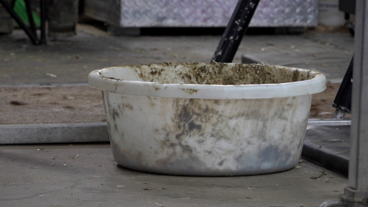 From manure to mushrooms: PA Farm Show waste fuels local crops