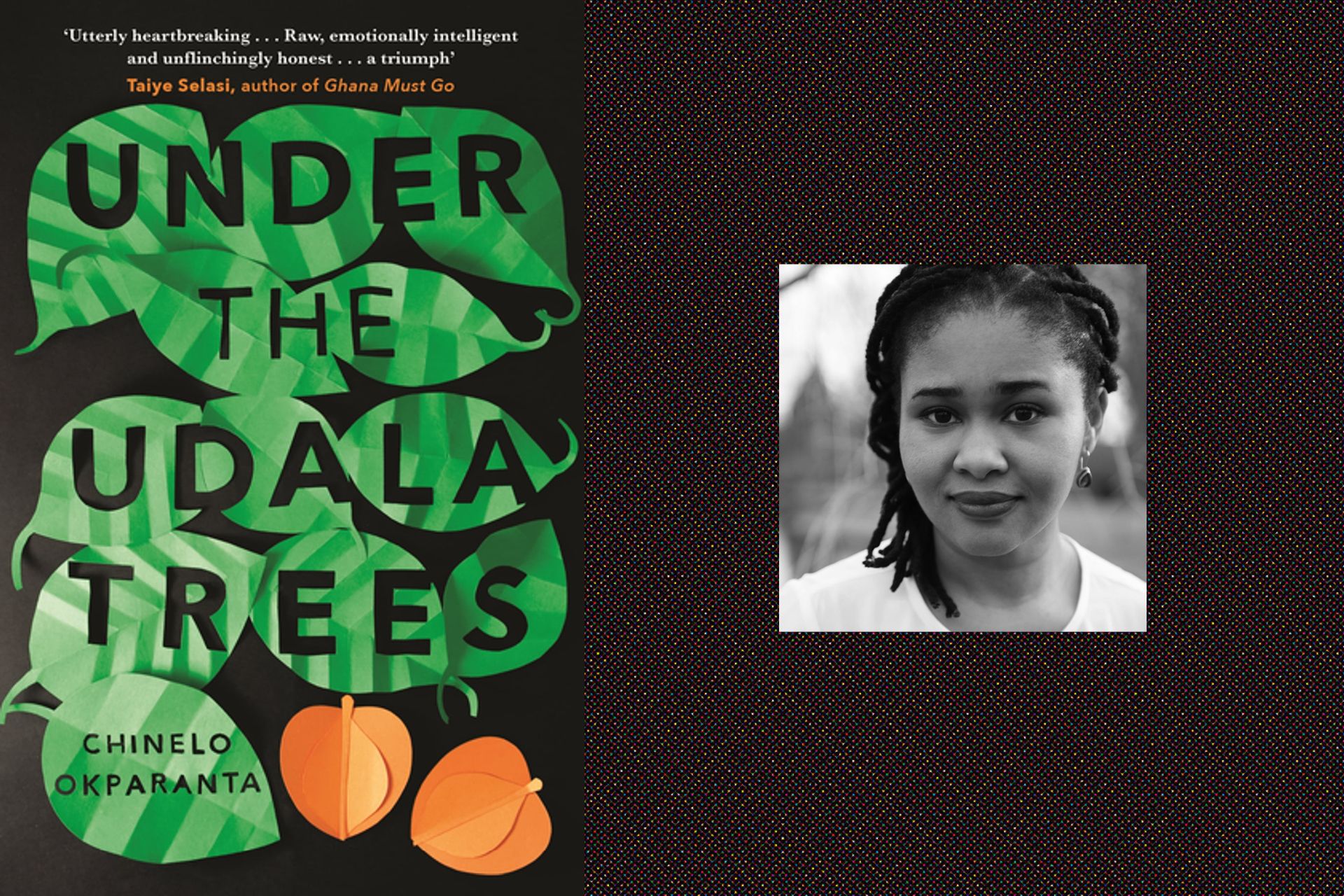 10 if-you-know-you-know classics of queer Black literature