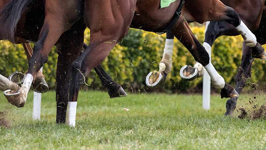 DRF's horse racing playbook for Saturday, January 17, 2026