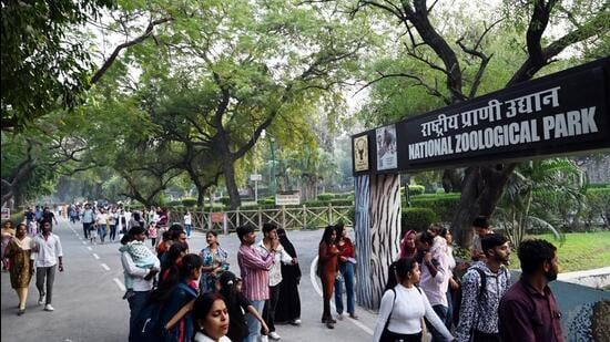 Delhi Zoo official 'replaced' in fallout of jackal death row