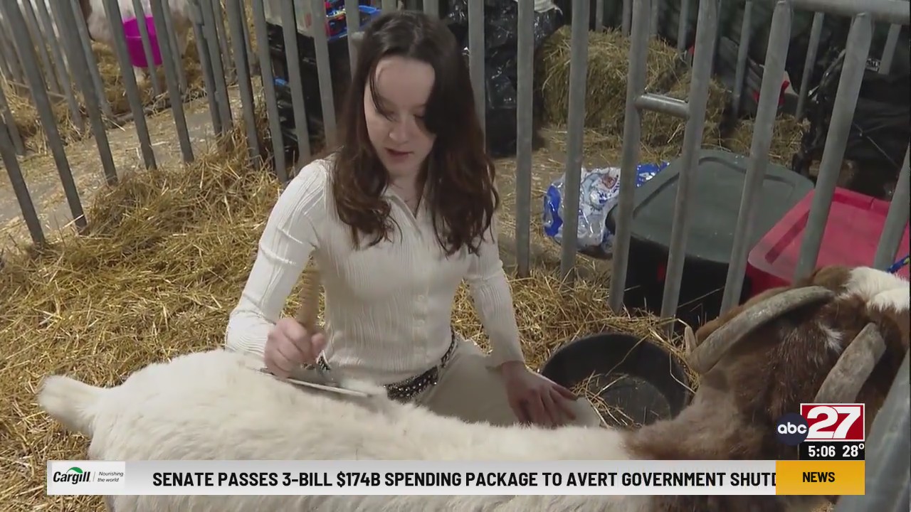 Meet the kids competing at the Pennsylvania Farm Show