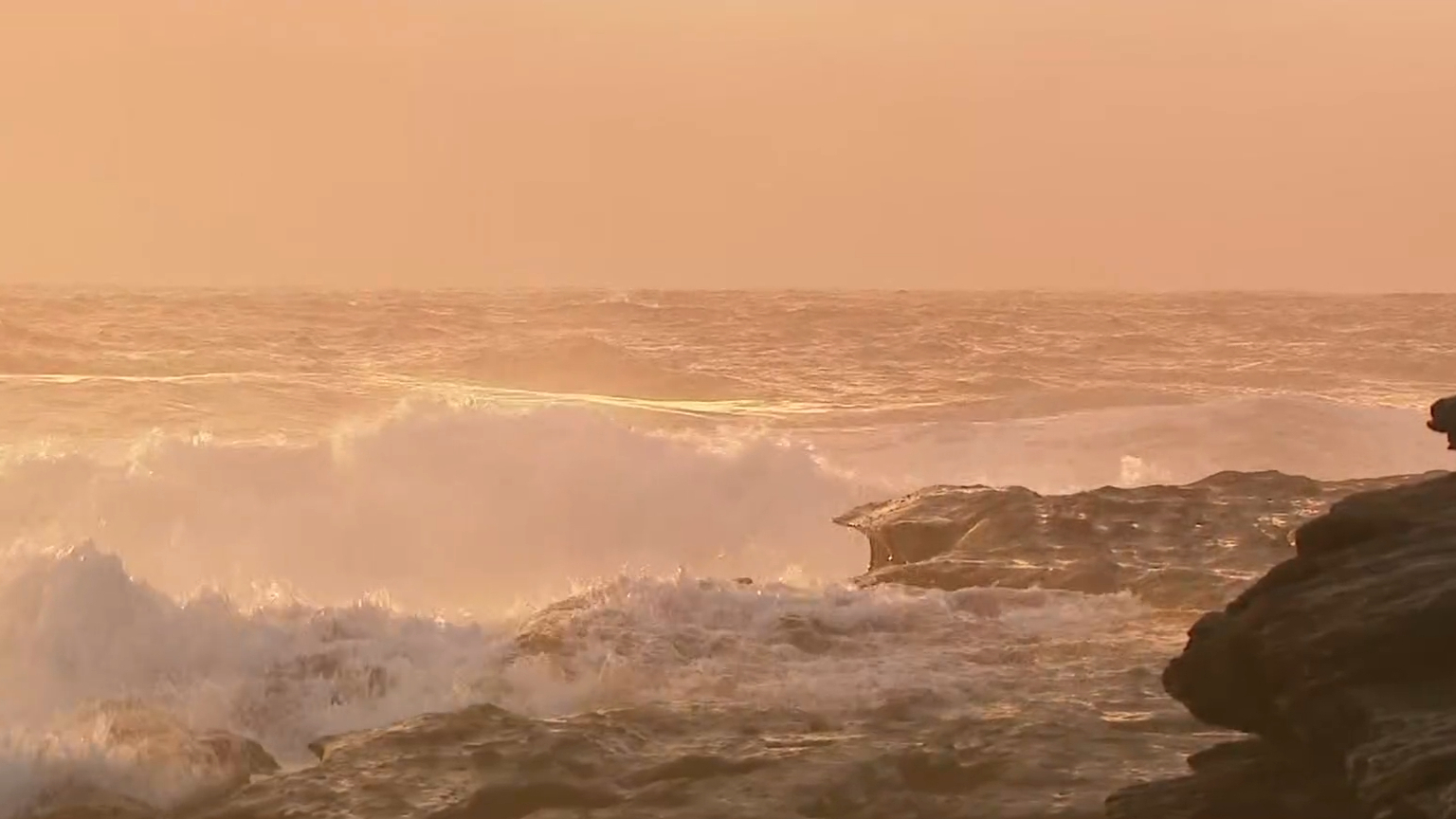 Woman dies after car struck by falling tree branch as wild weather ...