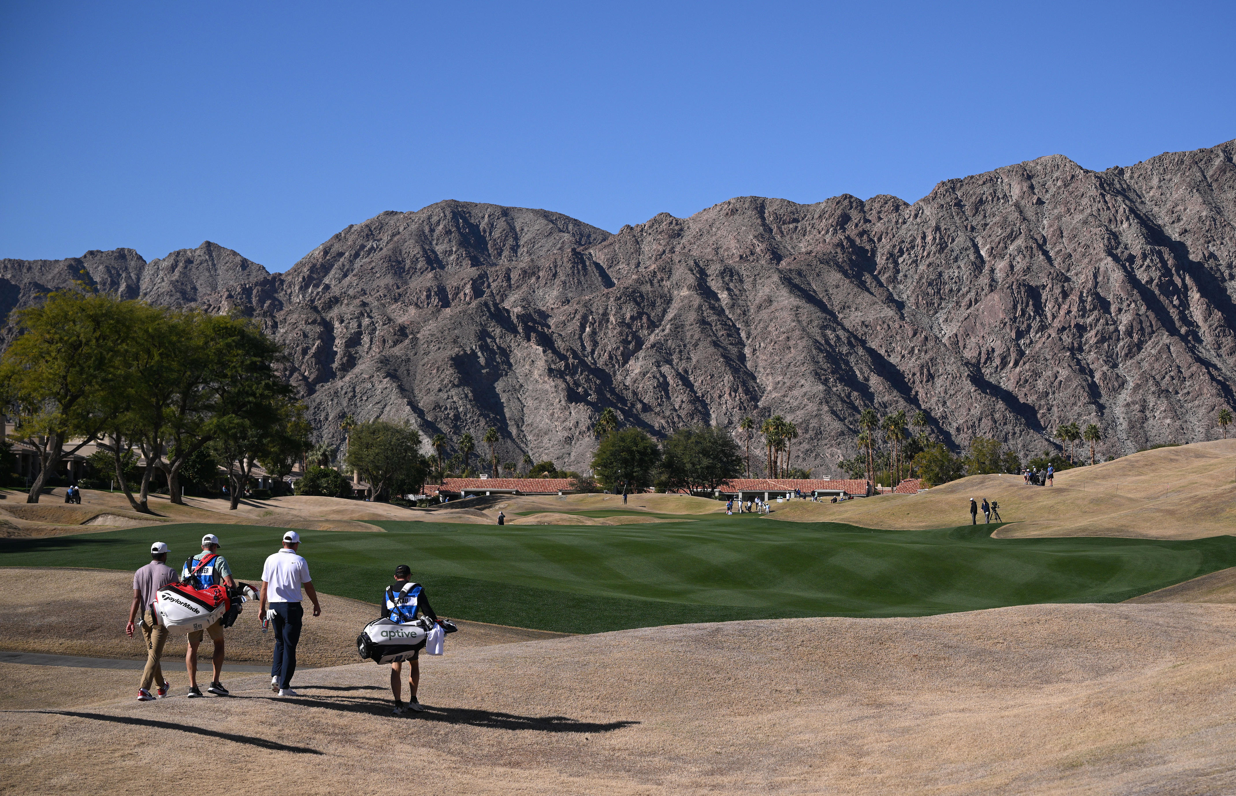 The American Express has one of its strongest fields in decades