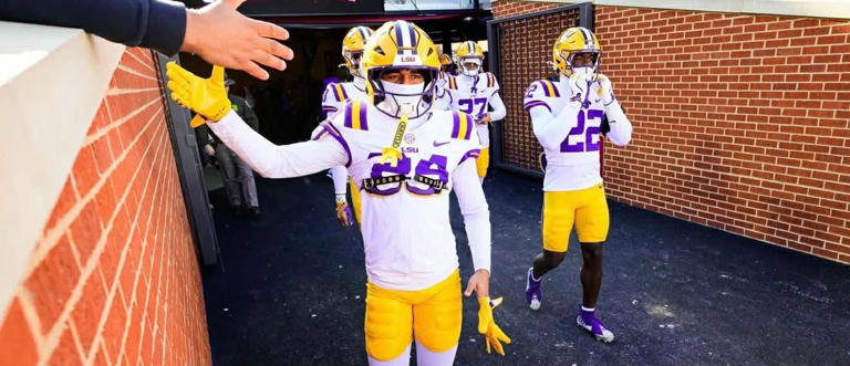 West Virginia lands commitment from LSU safety transfer Jacob Bradford