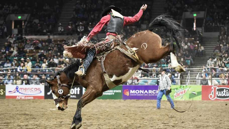 National Western Stock Show and Rodeo kicks off with first performance ...