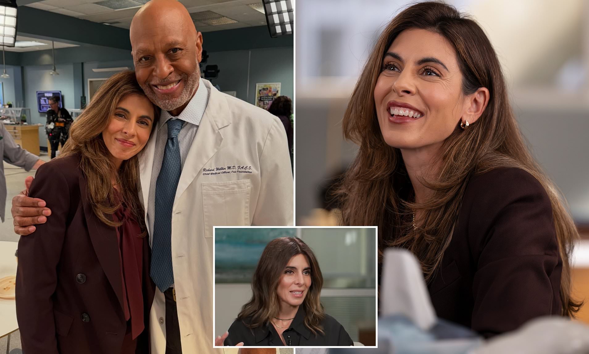 Jamie-Lynn Sigler talks emotional portrayal of doctor with MS on Grey's ...
