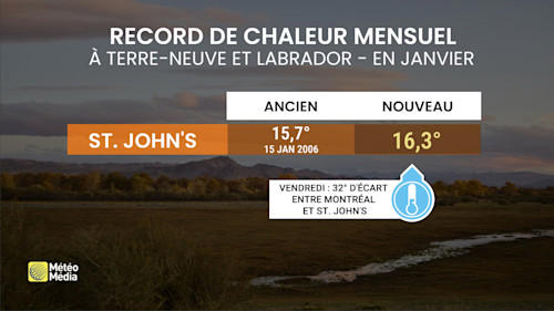Une douceur digne du printemps fait tomber un record en janvier. Voyez où