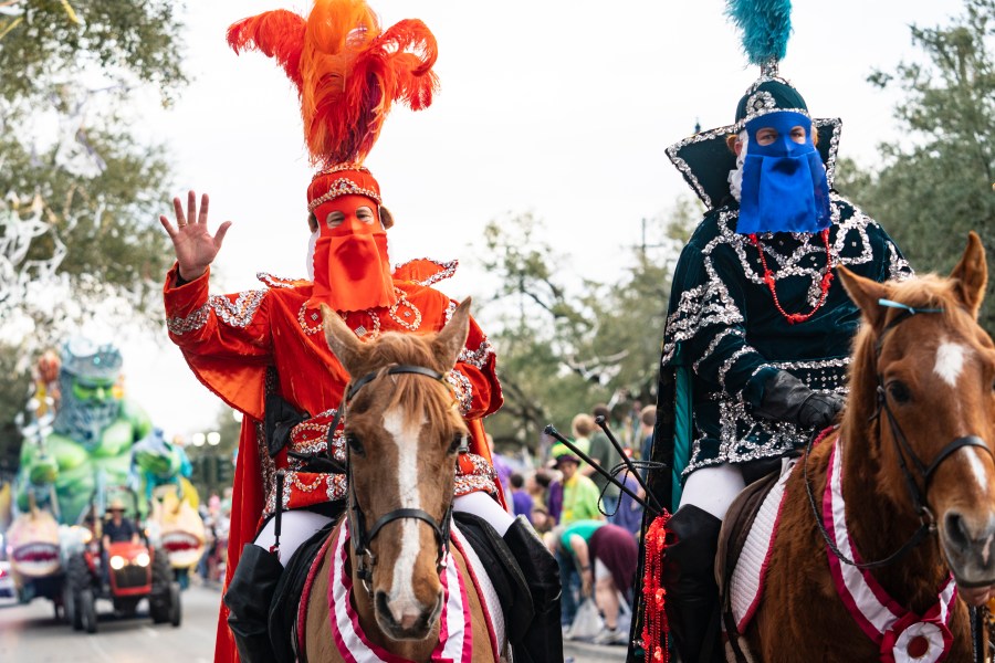 The Humane Society prompts call to adopt horses after carnival season