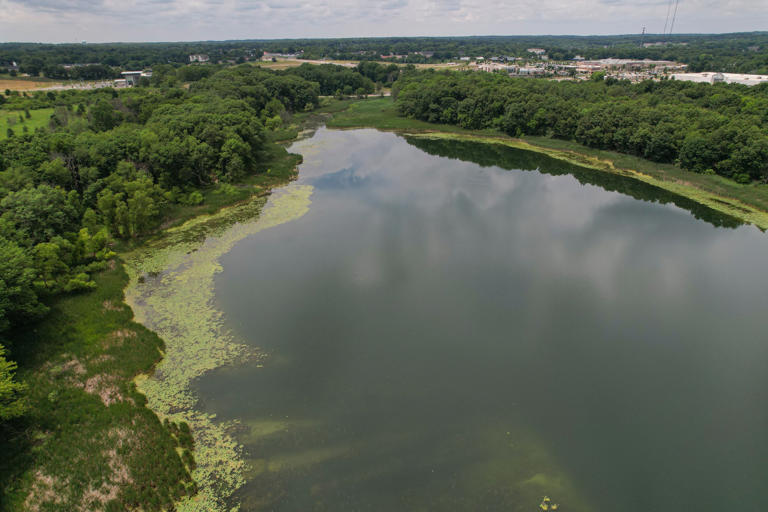 Asylum Lake Preserve management may be transferred to Kalamazoo County