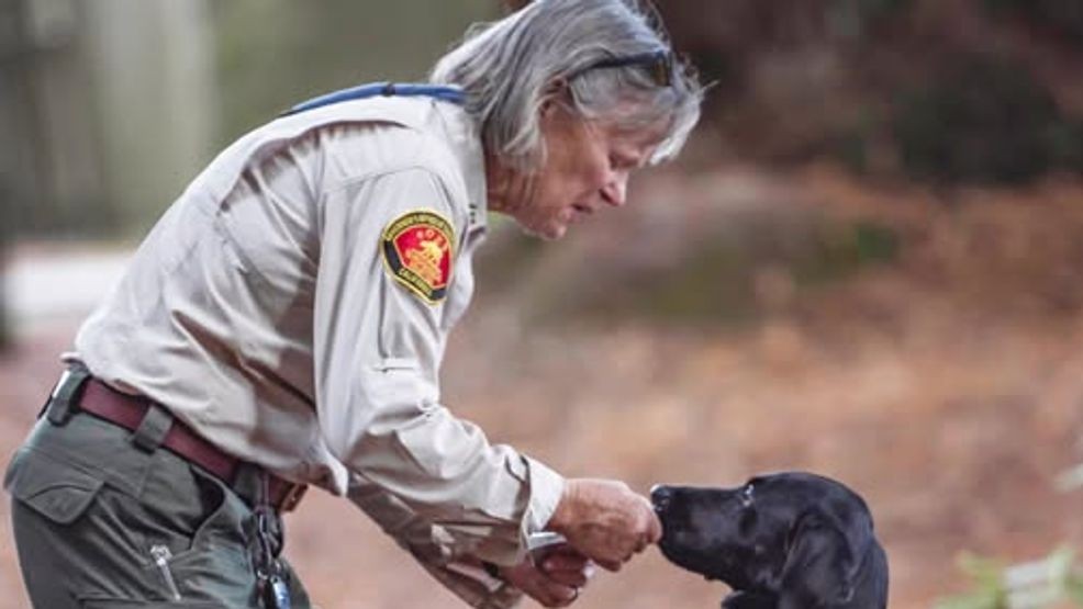 California Rescue Dog Association gives out their prestigious Peabody Award