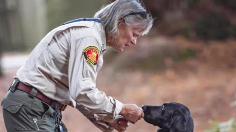 California Rescue Dog Association gives out their prestigious Peabody Award