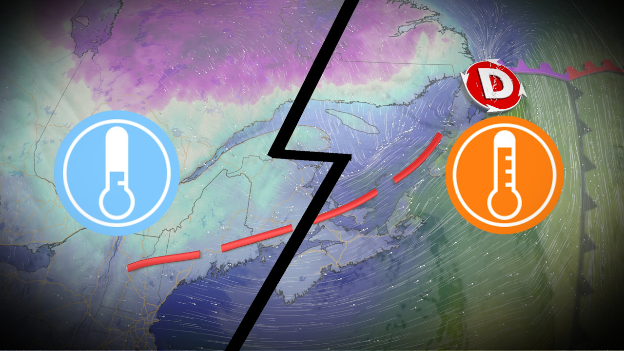 Une douceur digne du printemps fait tomber un record en janvier. Voyez où