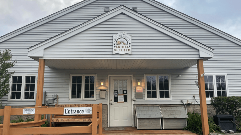 Second Chance Animal Services starts fundraiser to replace failed ...
