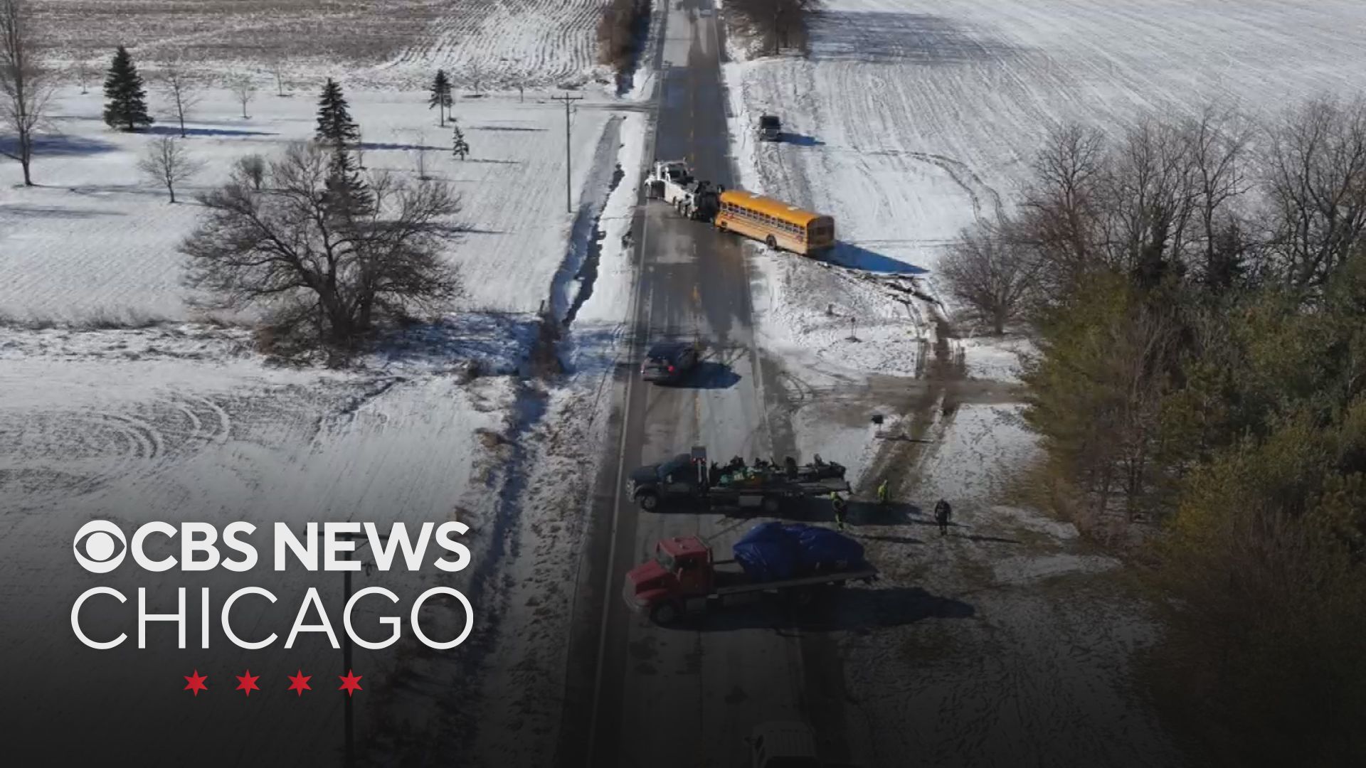 Driver killed in crash with school bus near Manhattan, Illinois, identified