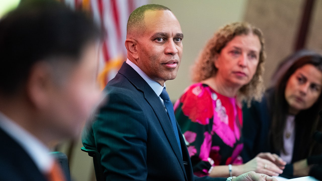 Wasserman Schultz rejects former Obama aide's essay arguing Dems 'will ...