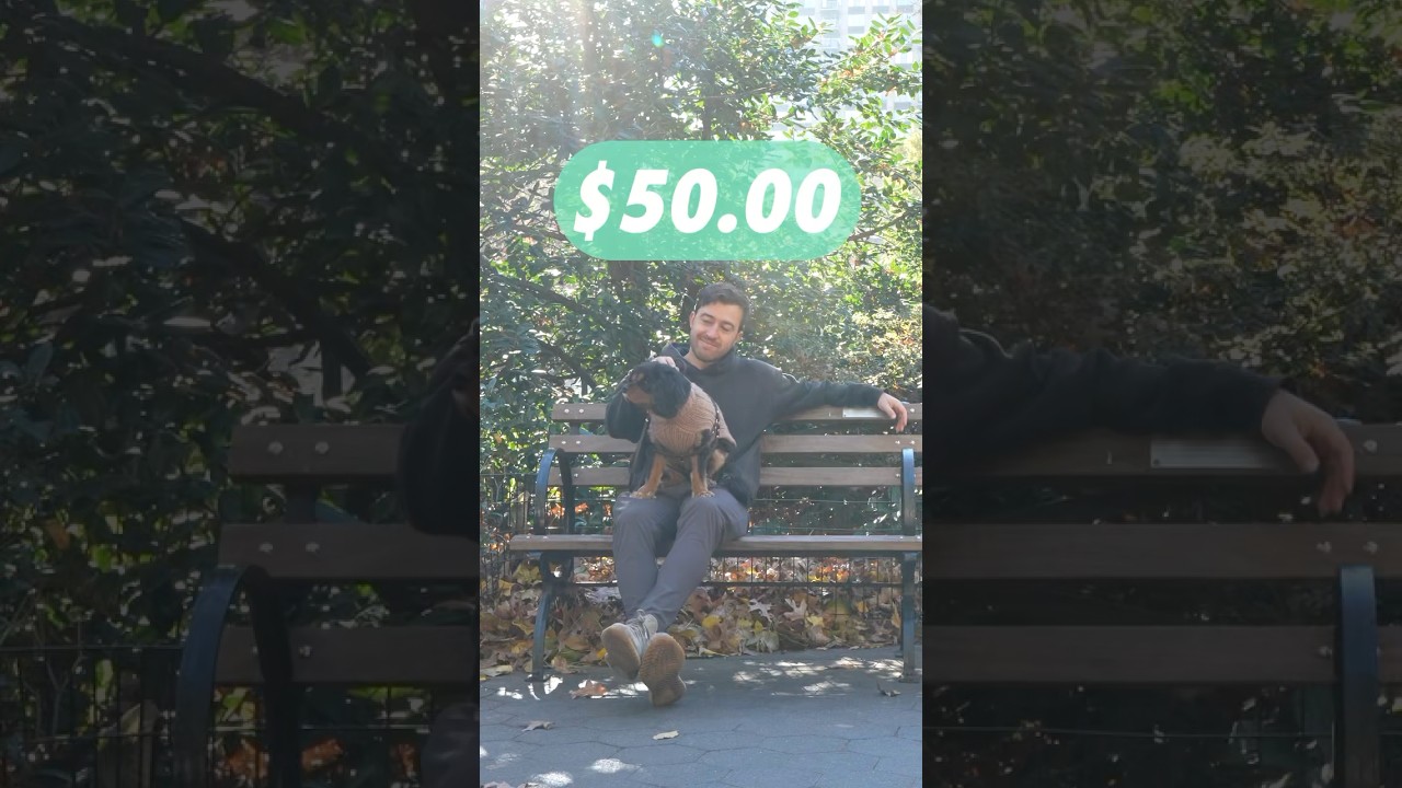 Zero to $1,000 in 72 hours in NYC