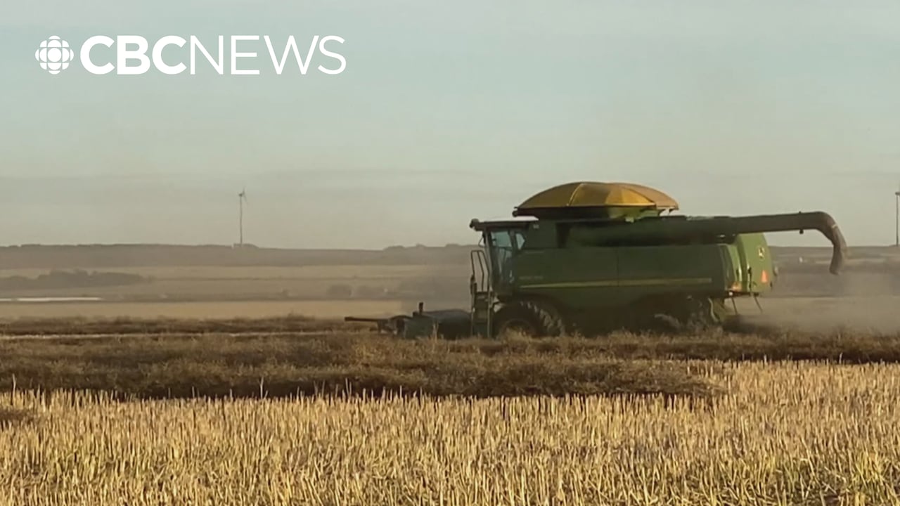 Premier Scott Moe speaks to CBC News from Beijing about new canola deal ...