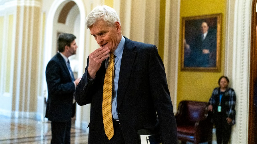 Sens. Bill Cassidy, John Thune discuss ‘no tax on tips’ in Baton Rouge