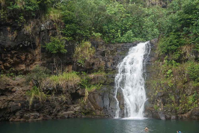 8 Oahu hikes that actually work with kids (tested by a mom who's done ...