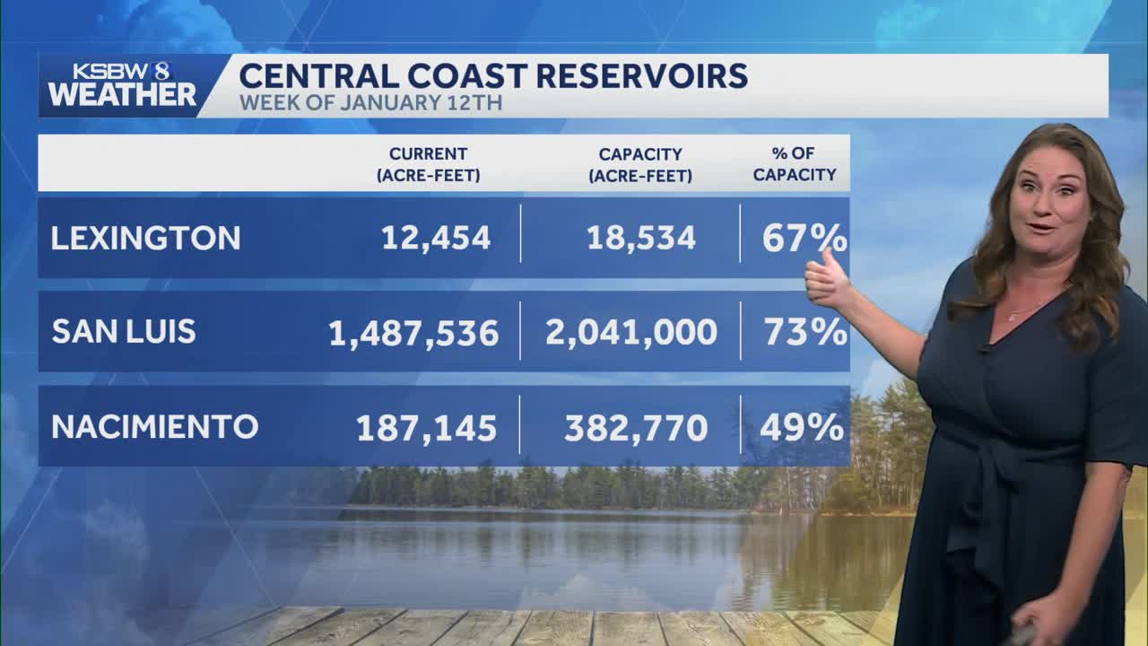 Mild weather persists with fog expected overnight