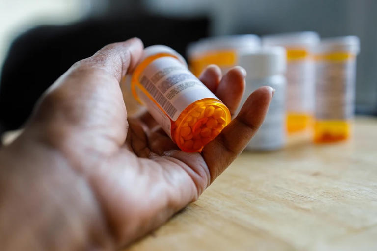 Raccoon roundworm eggs detected in a dog in San Fernando Valley