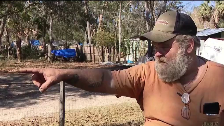 Neighborhood on edge after serial dog attacks reported in Marion County ...