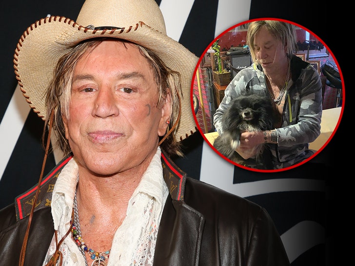 Mickey Rourke's dog needs heart surgery the actor can't afford