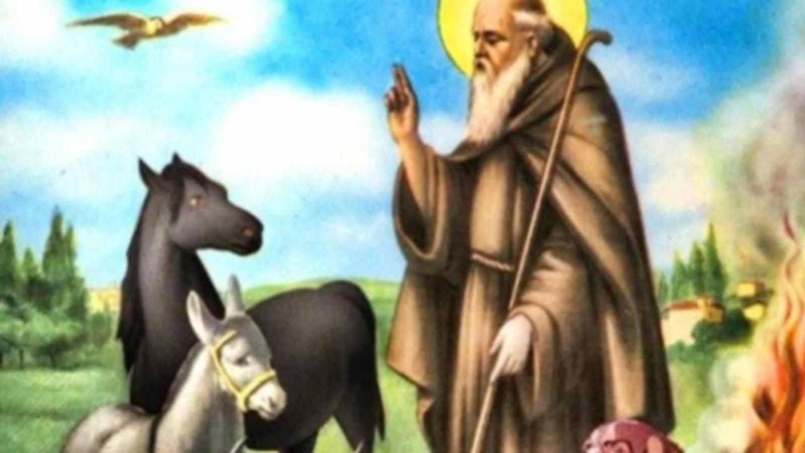 17 gennaio, Sant’Antonio: nei forni di Prato i panini contadini di una ...