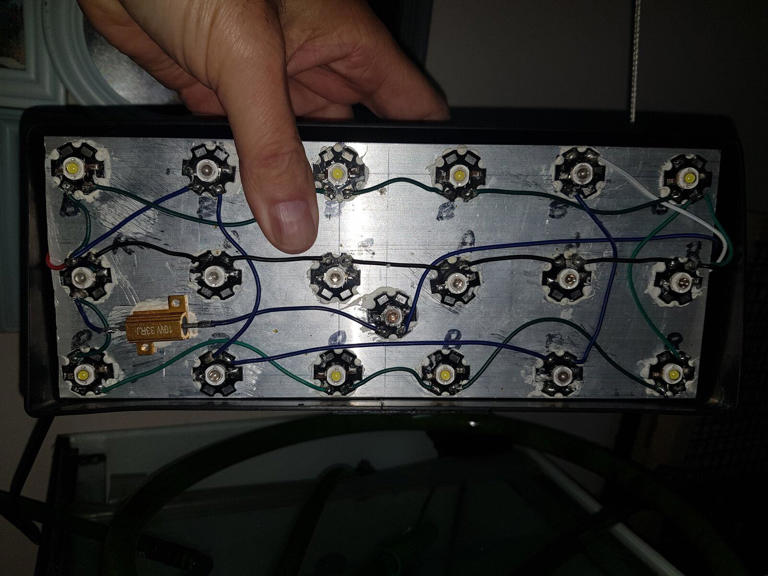 Pantallas LED para acuarios: guía completa para elegir la mejor iluminación