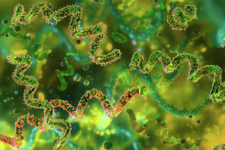 Dangerous bacterial outbreak in Berkeley sparks health alert