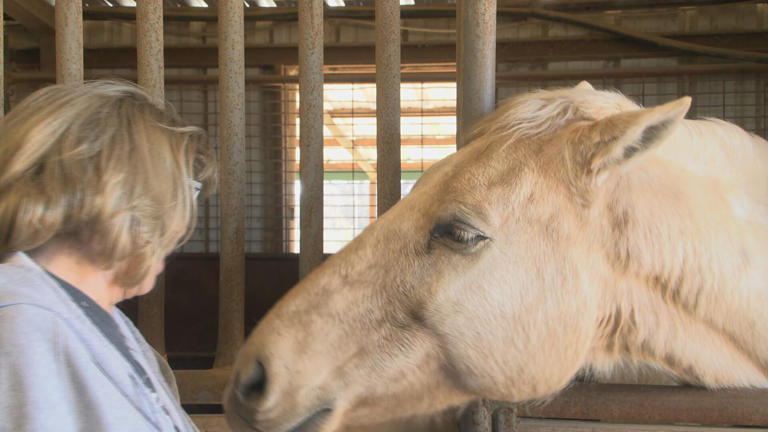 Texoma seniors find new purpose volunteering with local children