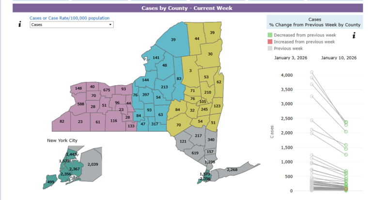 Monroe County reports 675 flu cases as statewide infections drop