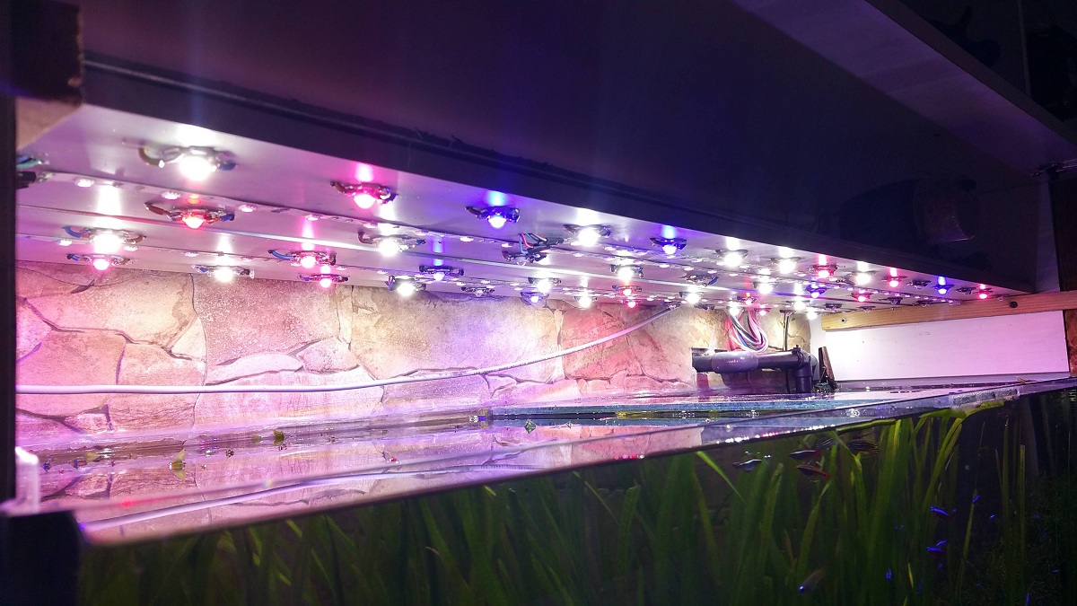 Pantallas LED para acuarios: guía completa para elegir la mejor iluminación