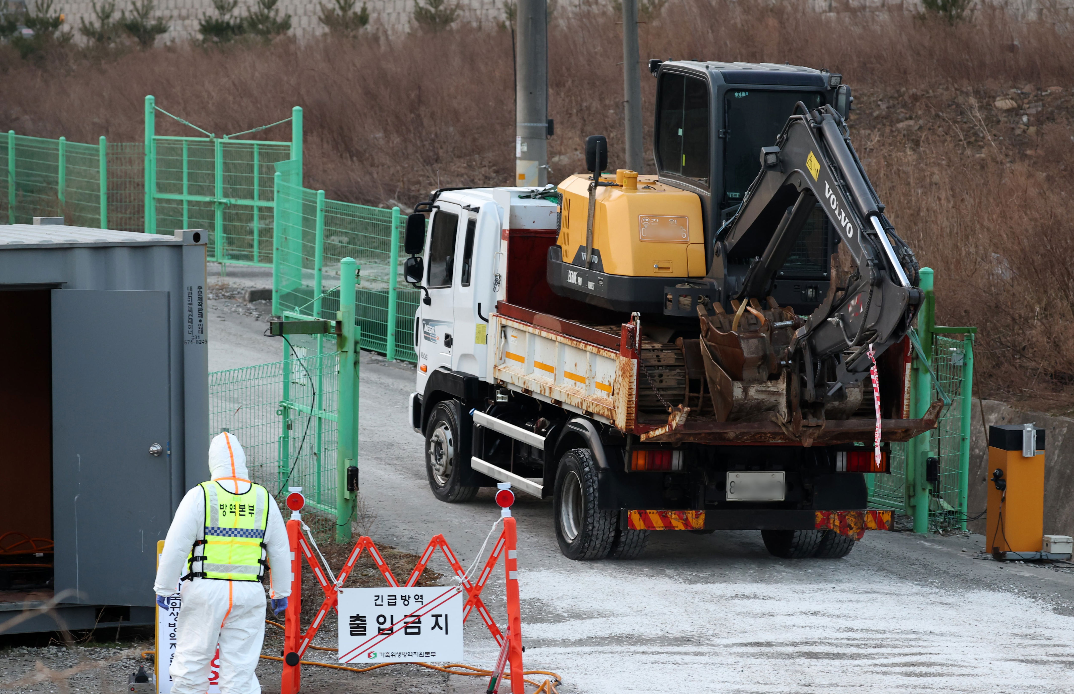 Gangwon Province to cull 20,000 pigs after ASF outbreak