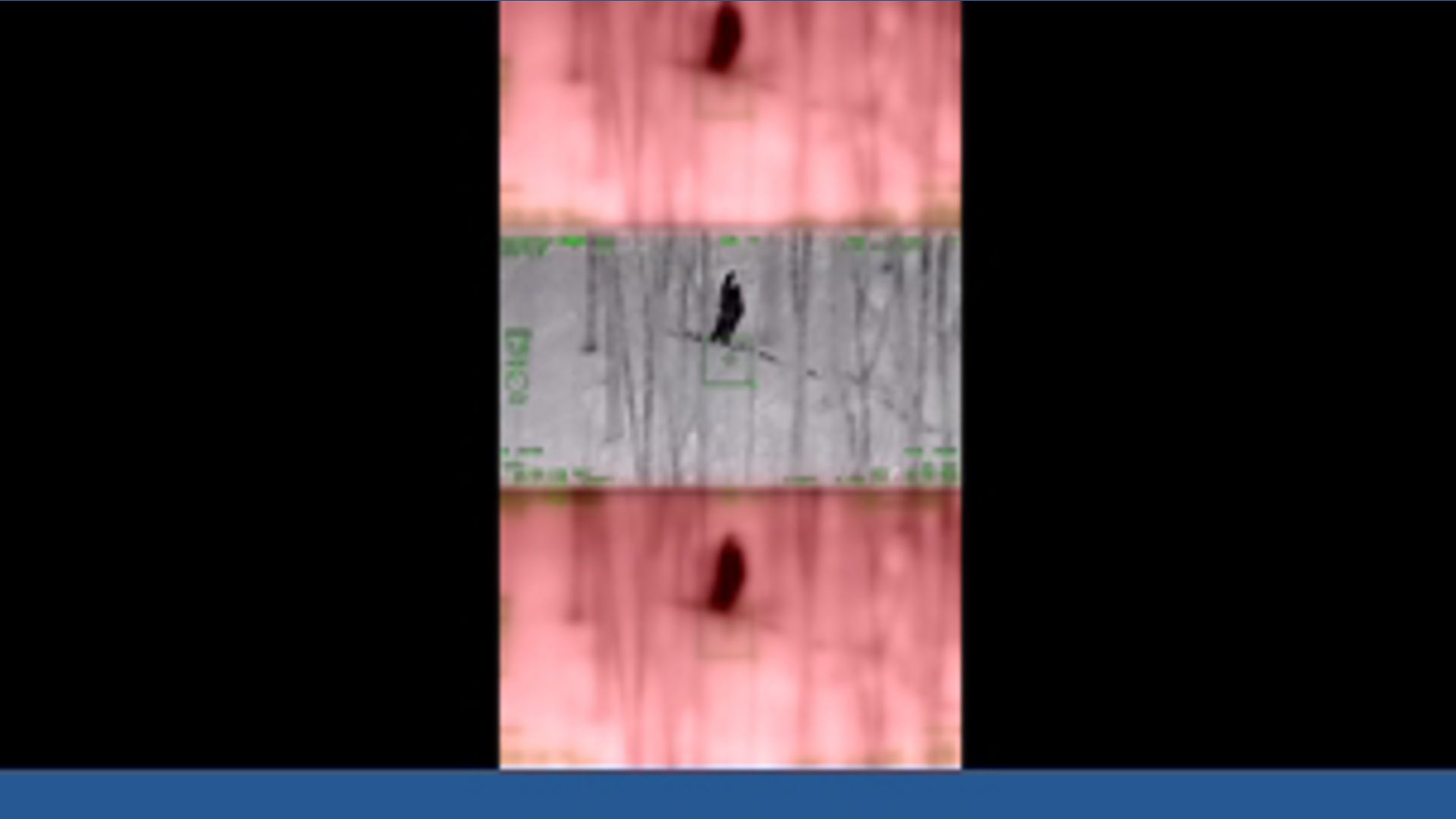 Aerial team find hunter lost in deep snow