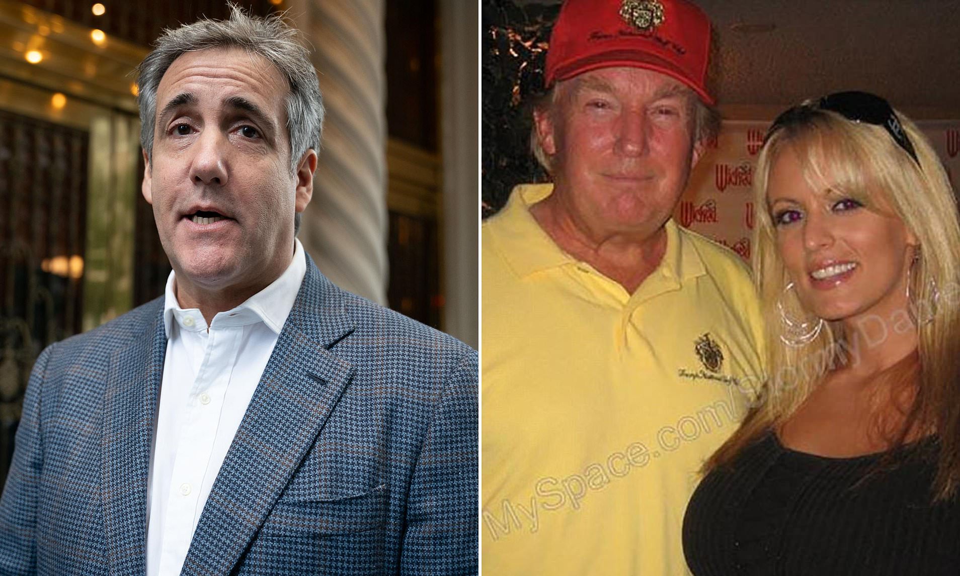 Michael Cohen was 'coerced to turn on Trump by two Dems' as president ...