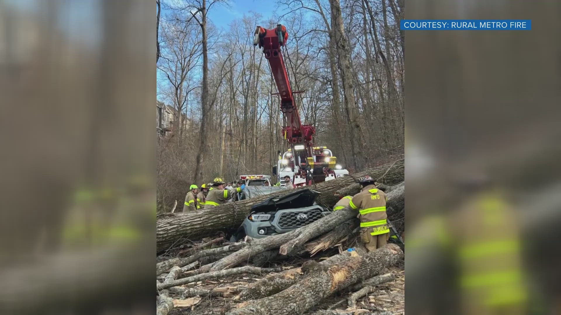 Rural Metro: Tree falls on moving truck in West Knox County, driver ...