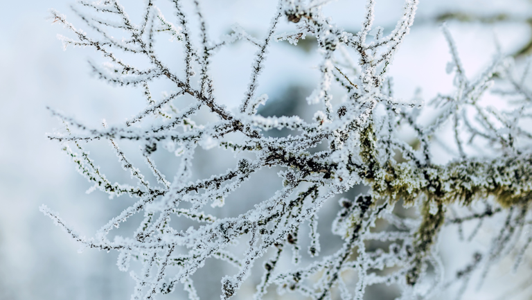 Cincinnati to activate extreme winter weather shelter as dangerous cold ...