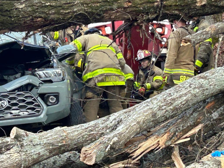 Driver escapes unharmed after tree falls on truck in West Knox County