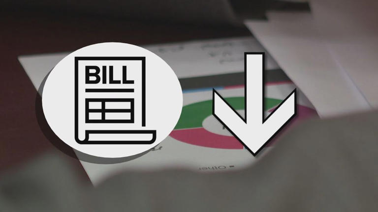 Republican lawmakers hold hearing amid state energy issues, push for ...