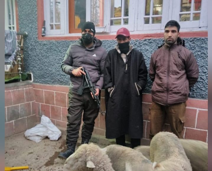 Police crack sheep theft case in Awantipora, trace accused from Rajouri
