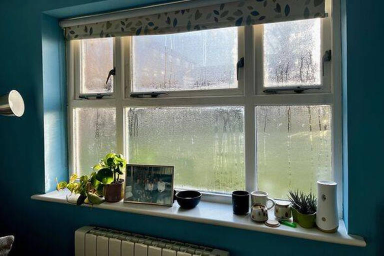 I tried to reduce window condensation with 1 common kitchen item - my ...