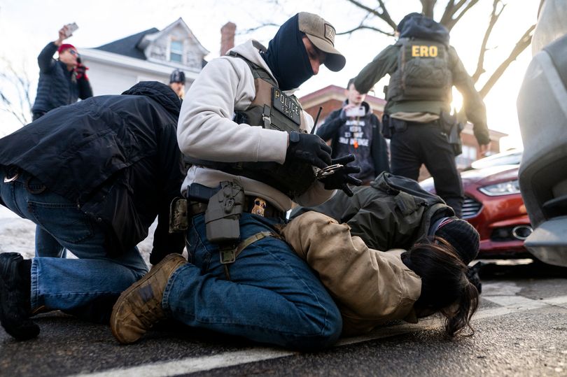 ICE agents get less training than animal control officers, says ex-official