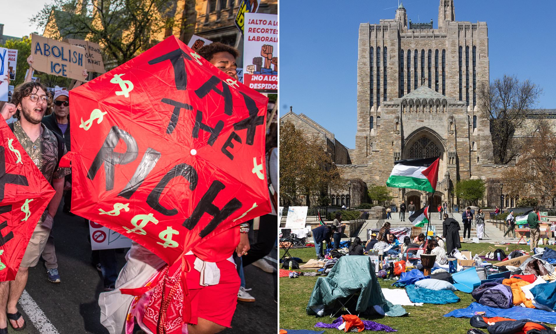 Yale College has purged every Republican supporter from its faculty ...