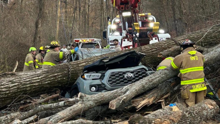 Driver escapes unharmed after tree falls on truck in West Knox County
