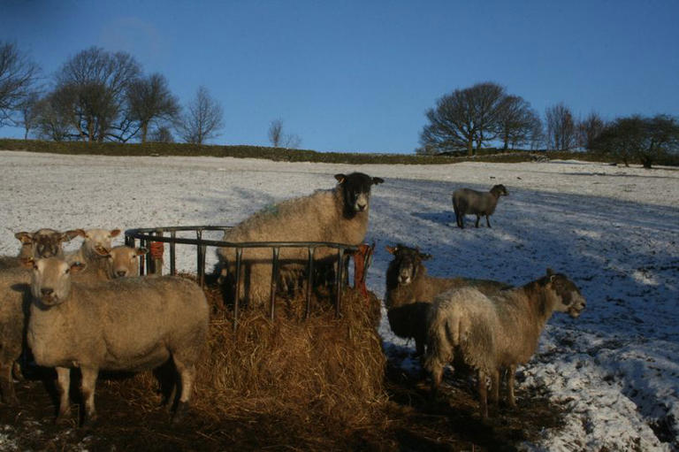 Idyllic Yorkshire village with babbling brook, ancient bridges is ...