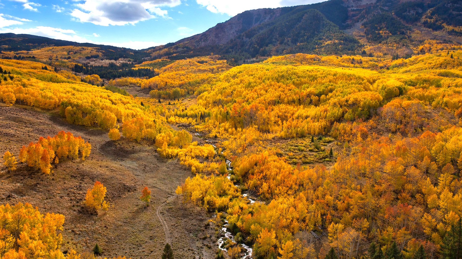 Autumn colors in Santa Fe National Forest