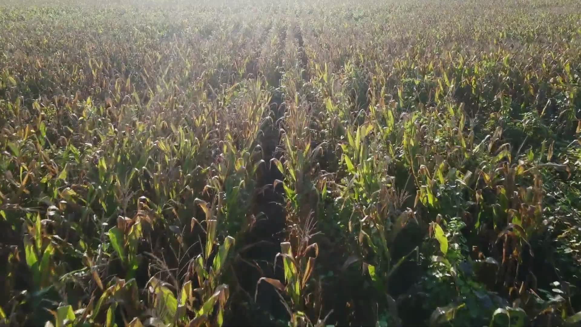 Jim Rickards details the inevitable economic collapse ahead