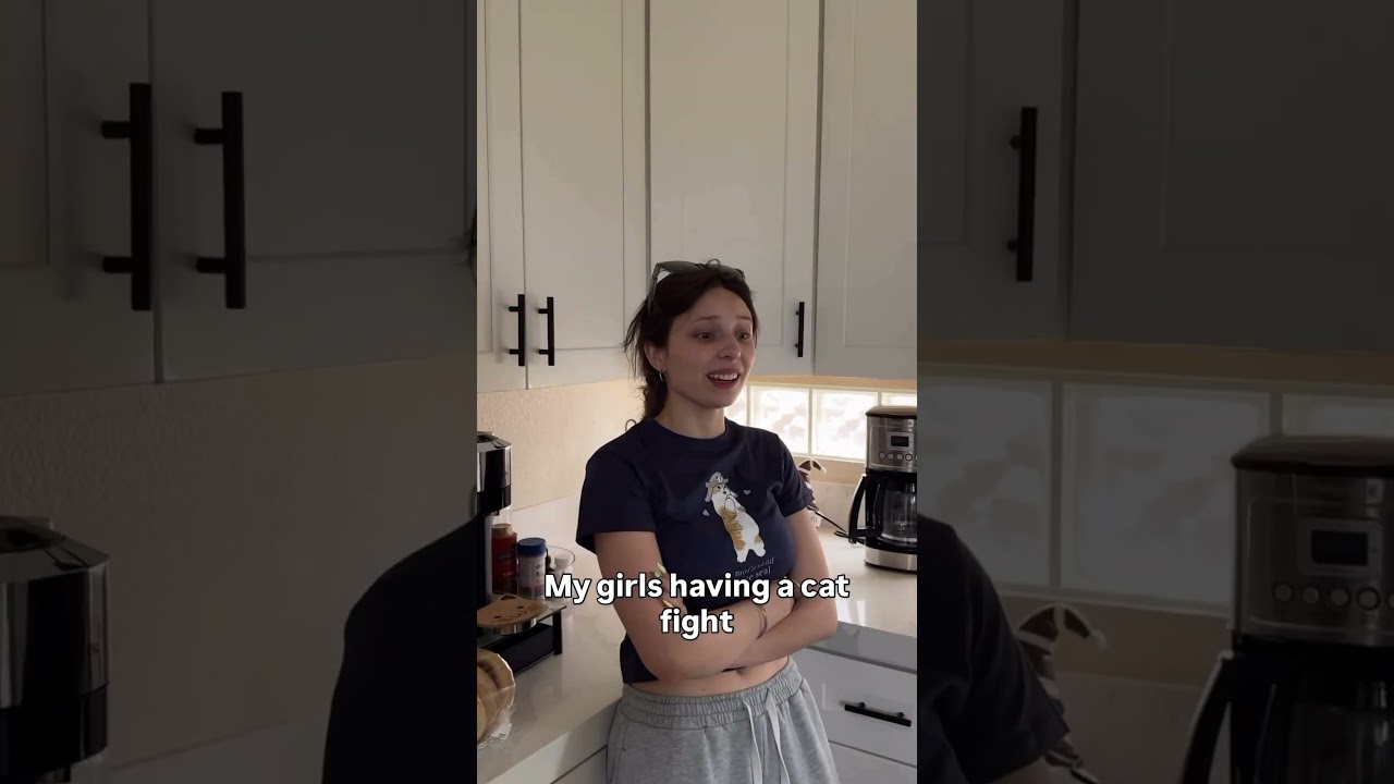 Girlfriend vs kitten cat fight