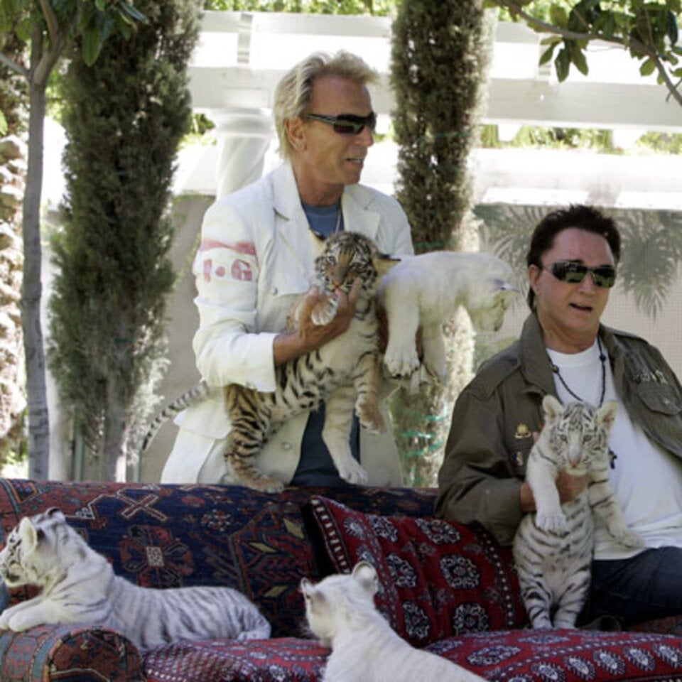 Hollywood-Hammer: Jude Law und Andrew Garfield spielen Siegfried und Roy